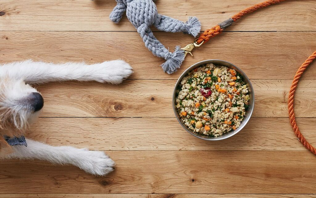 Dog’s Food delivered